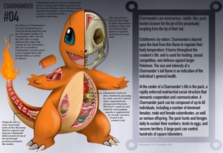 詳細なる内臓に完全解説。新・ポケモン解剖図鑑「ポケナトミー」 | カラパイア