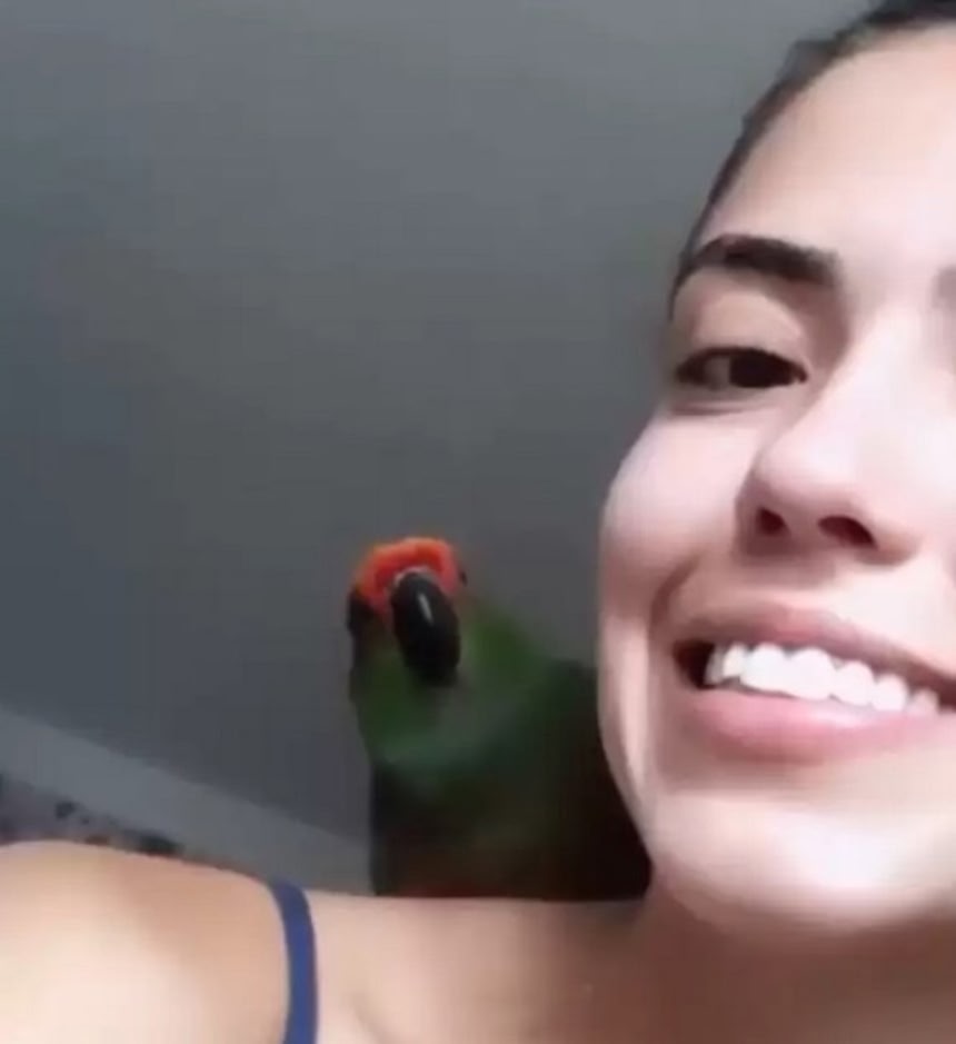 (画像4/5) ある日突然家にやってきた美しい野生のインコと奇跡の交流を楽しんだ女性 - カラパイア